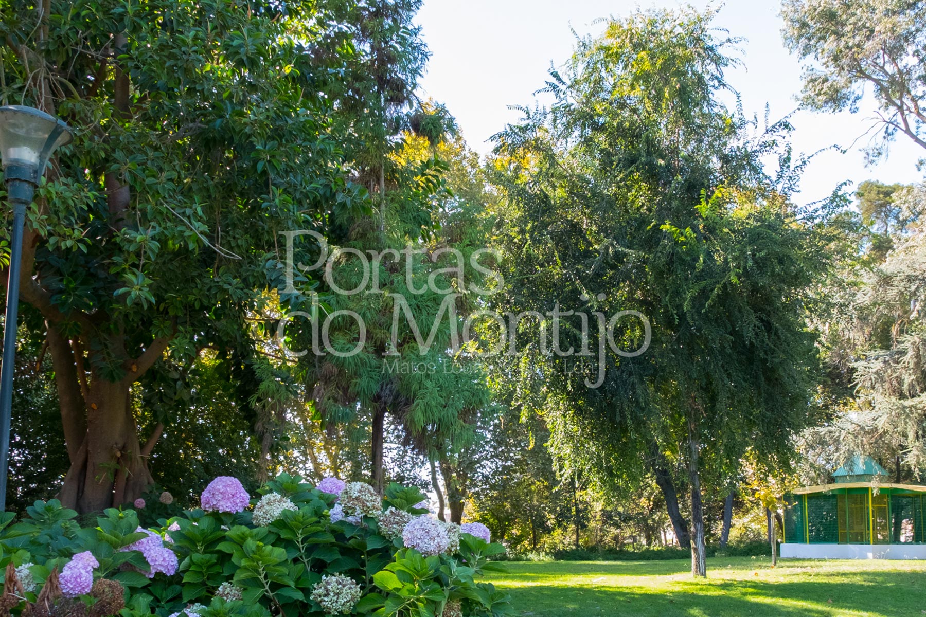 Portas do Montijo – Matos Louro & Luis