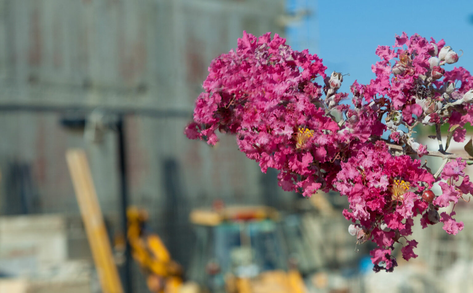 Matos Louro & Luis – Construção Civil